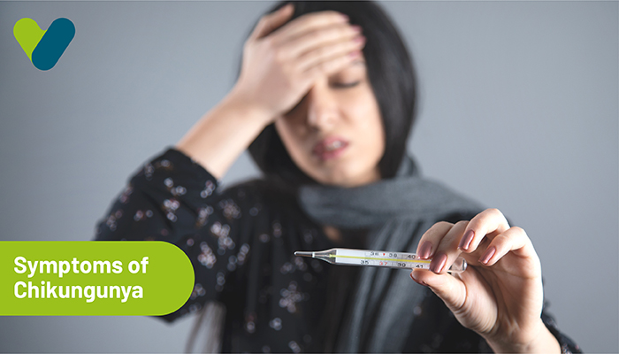 Chikungunya Symptoms: Perfect Guide On Chikungunya Fever Symptoms | Livlong